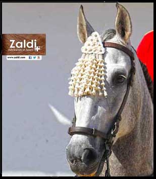 Dark Horse Saddlery